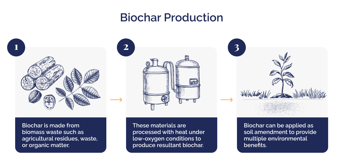 Turning waste into opportunity: The feasibility stage of our biochar project